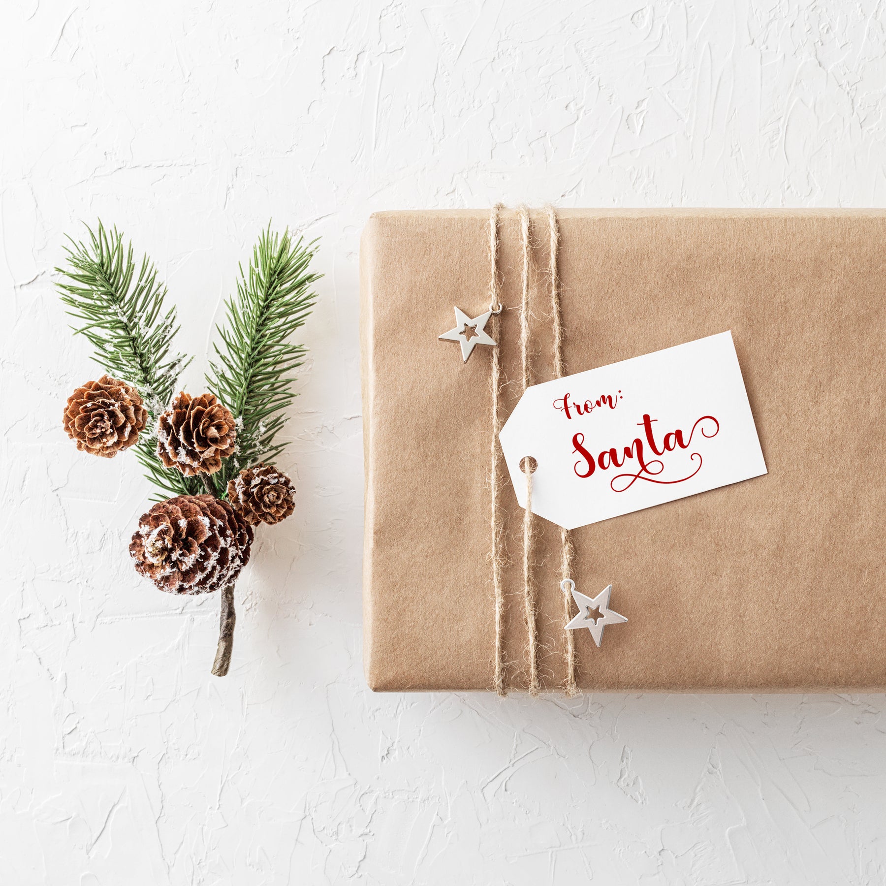 Printable Letter to Santa Template - Santa's Official Gift Request ...